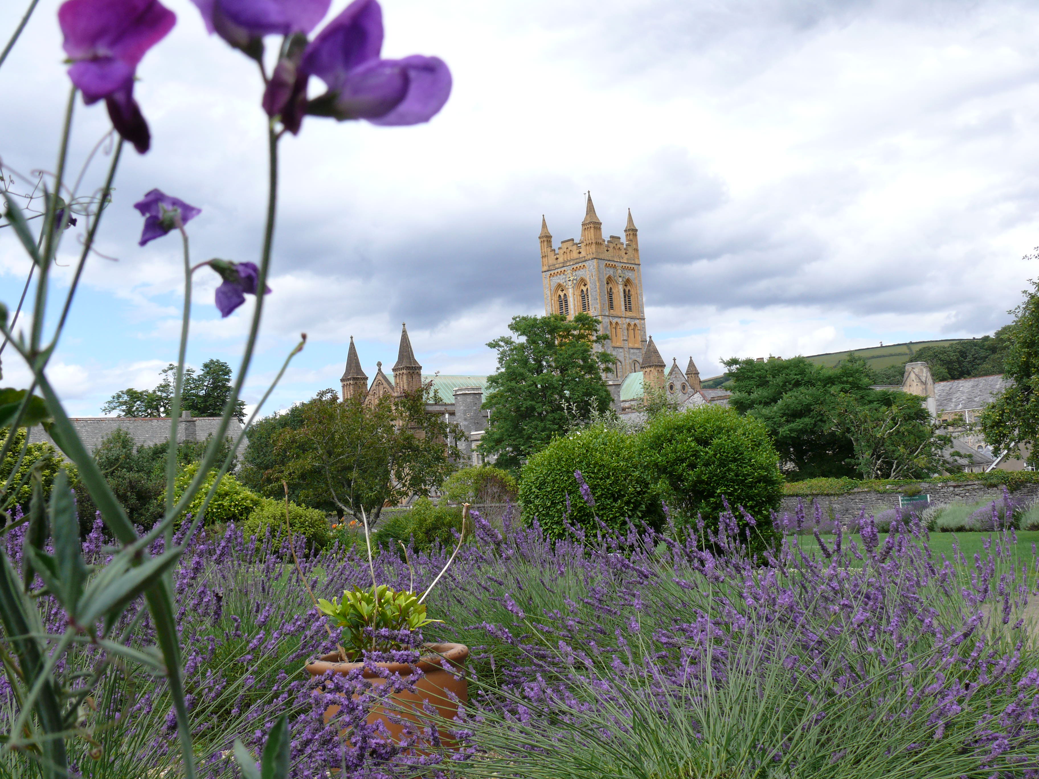 The hair shirt of Sir Thomas More #catholic | Shakespeare's World